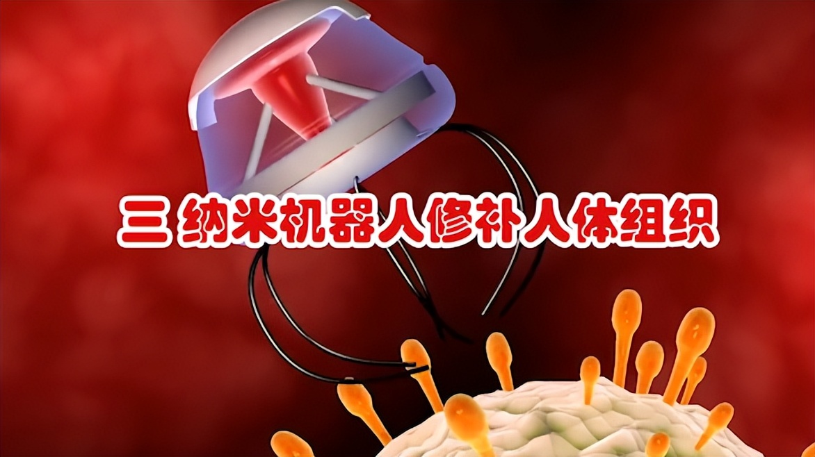 Four ways for humans to achieve immortality in the future, people look ...