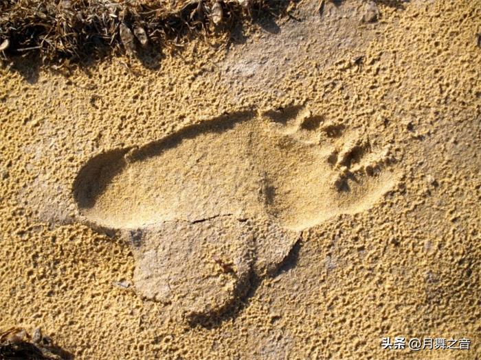 What is the truth behind the giant footprints in the mountains? - iMedia