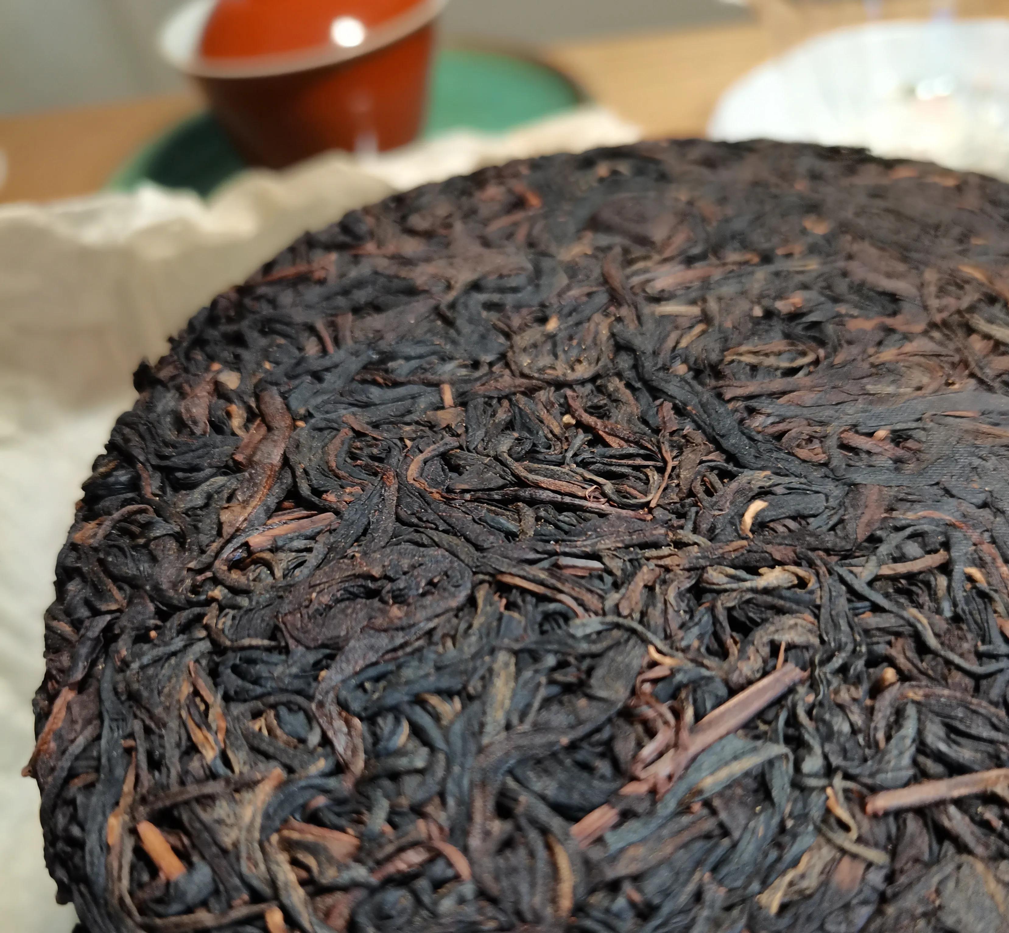 Tasting 2005 Yiwu wild tea - iNEWS