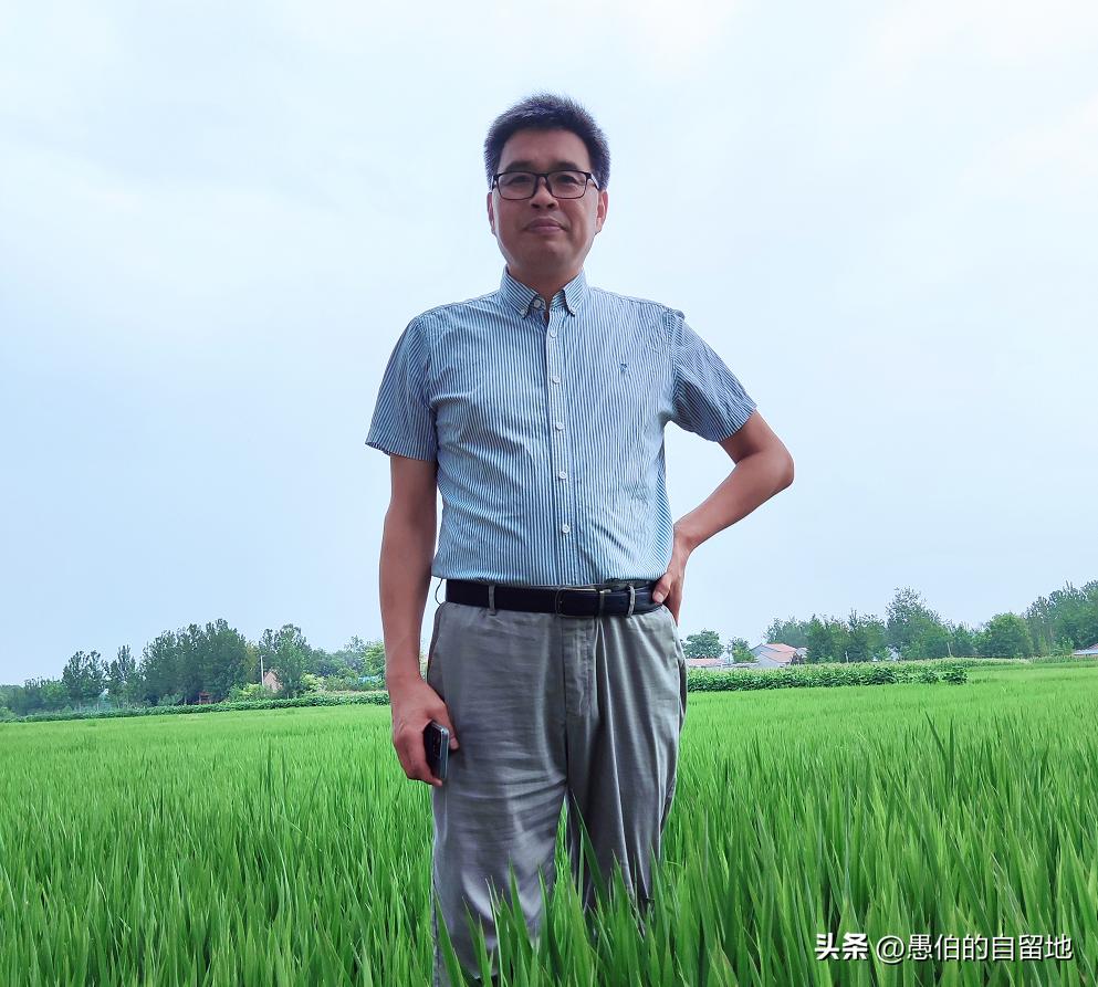 The smell of fireworks in my hometown: the bowl of gluten soup that ...