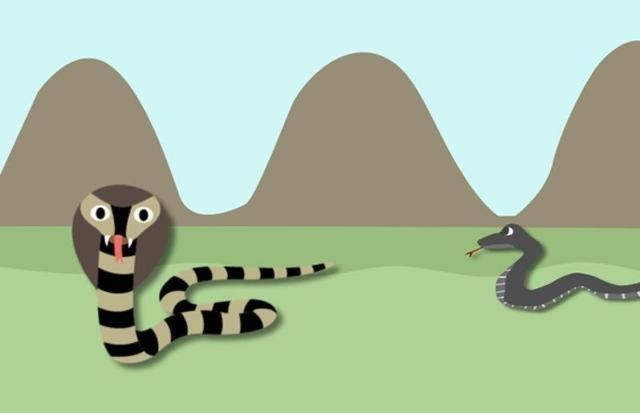 Why is the not-very-venomous five-step snake one of the most feared ...