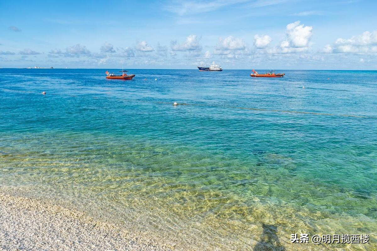 Ren'ai Reef is on the rise again, strong rights defenders are being ...