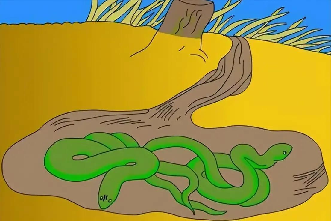 The old man in the village said: Snakes have many weaknesses. If you ...