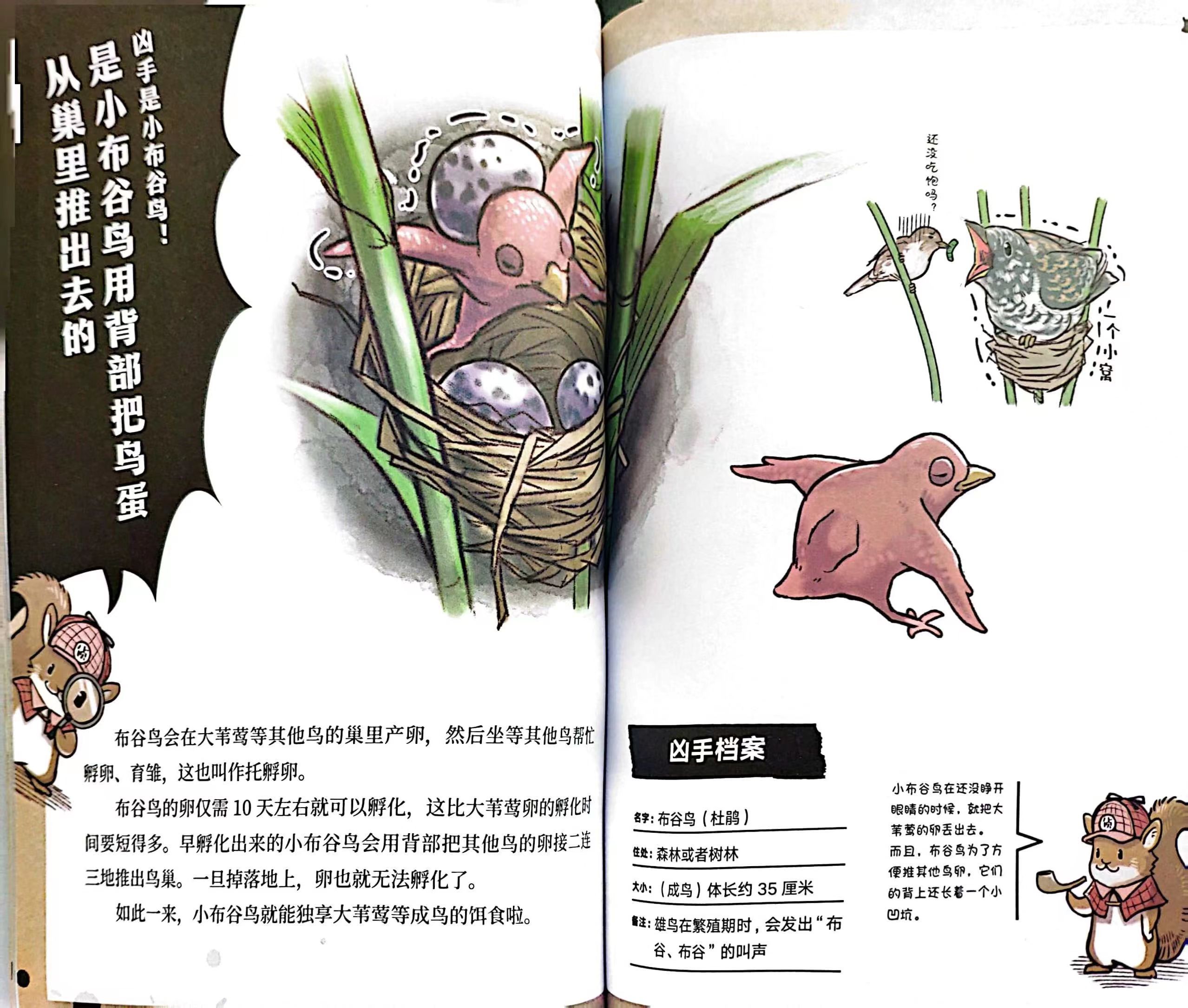 "Forest Detective Event Book" & "The Witty Life of Animals", the ...