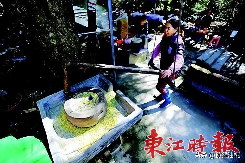 The taste of childhood starts with soybeans, soy milk, bean curd brain ...