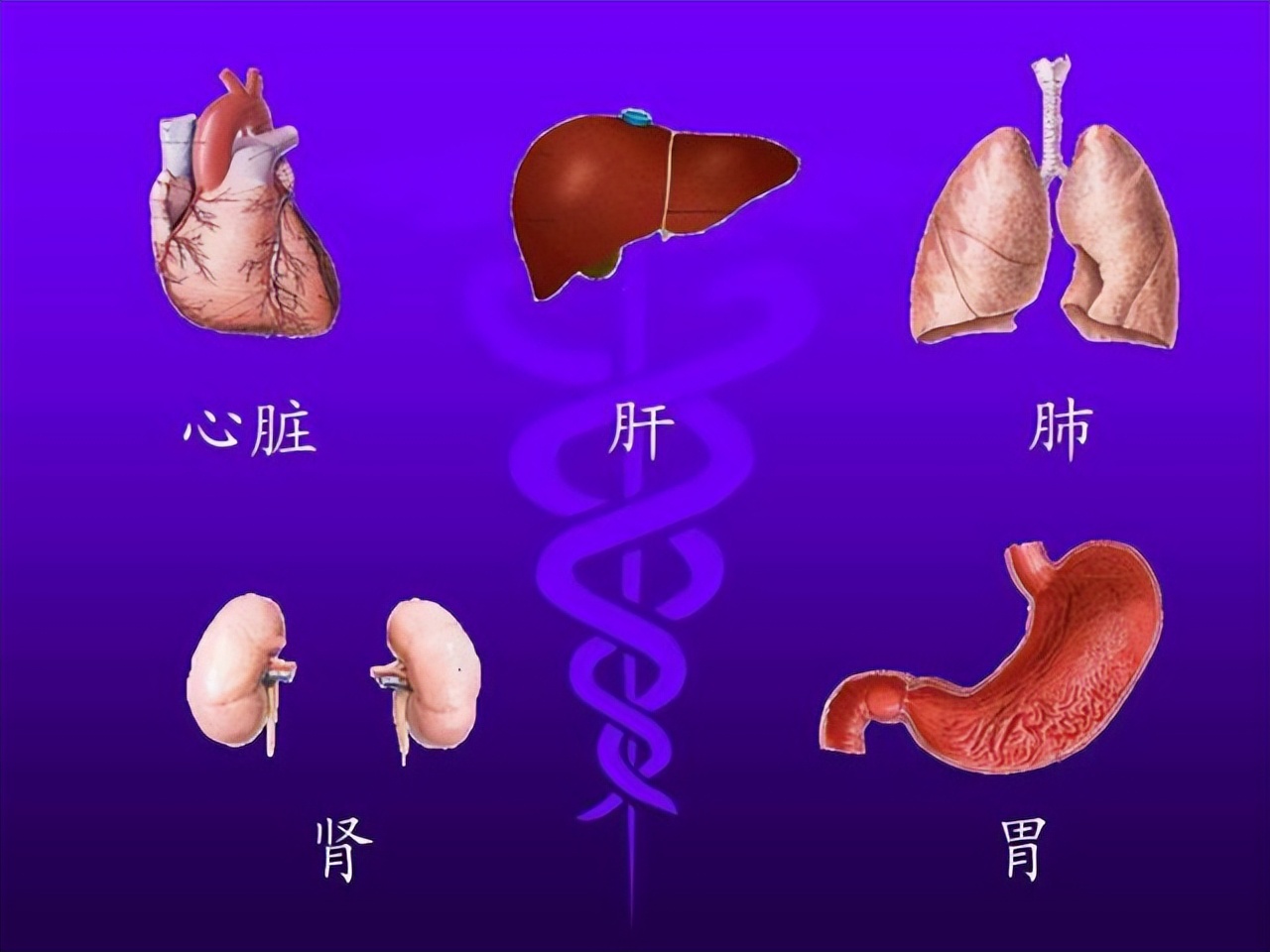 There are 6 organs in the human body, which will not affect normal life ...