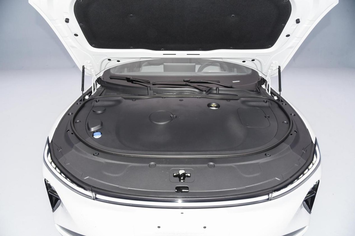 Through-type headlights, hatchback tailgate, luxurious interior ...