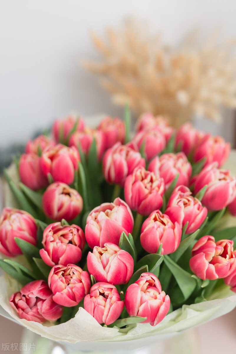 There is sustenance in the poem of chant (1) - iNEWS