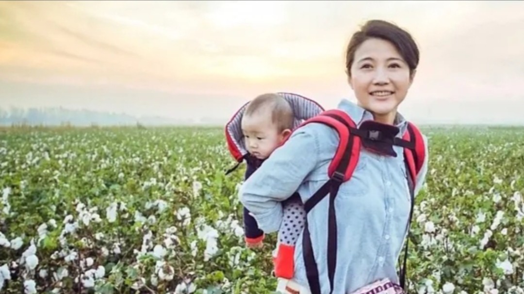 Jiang Wu, Yan Bingyan join forces, Wu Mian and Fu Miao play a ...