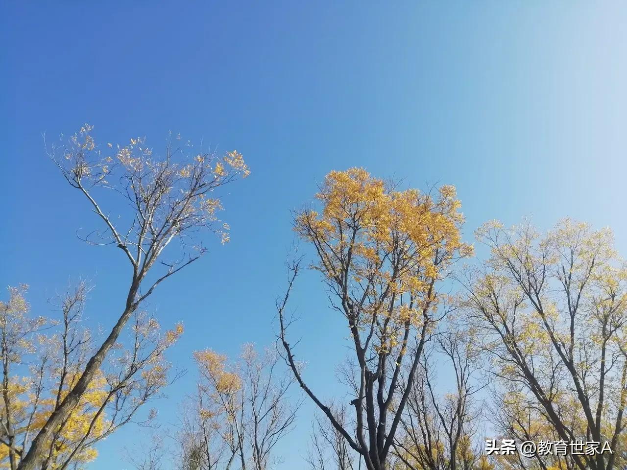 Read "Zizhitongjian" and see social life 2 - iNEWS