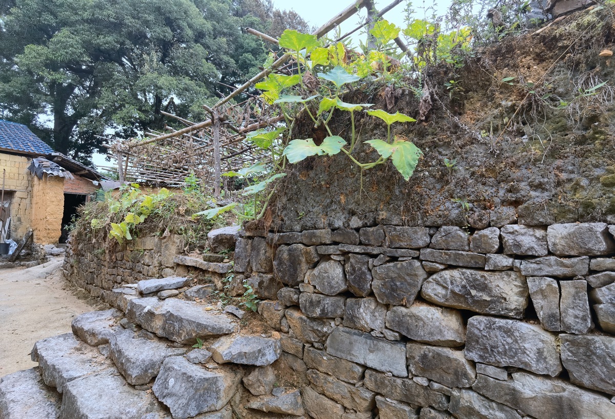 Guilin: Historical and Traditional Cultural Village--Ancient Charm of ...