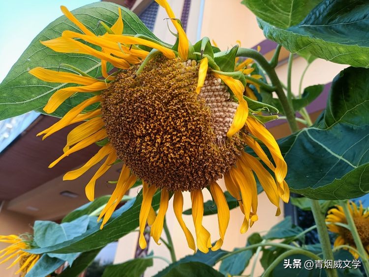 Seven Laws Thousands of Artists Exhibition New Autumn (outside three ...