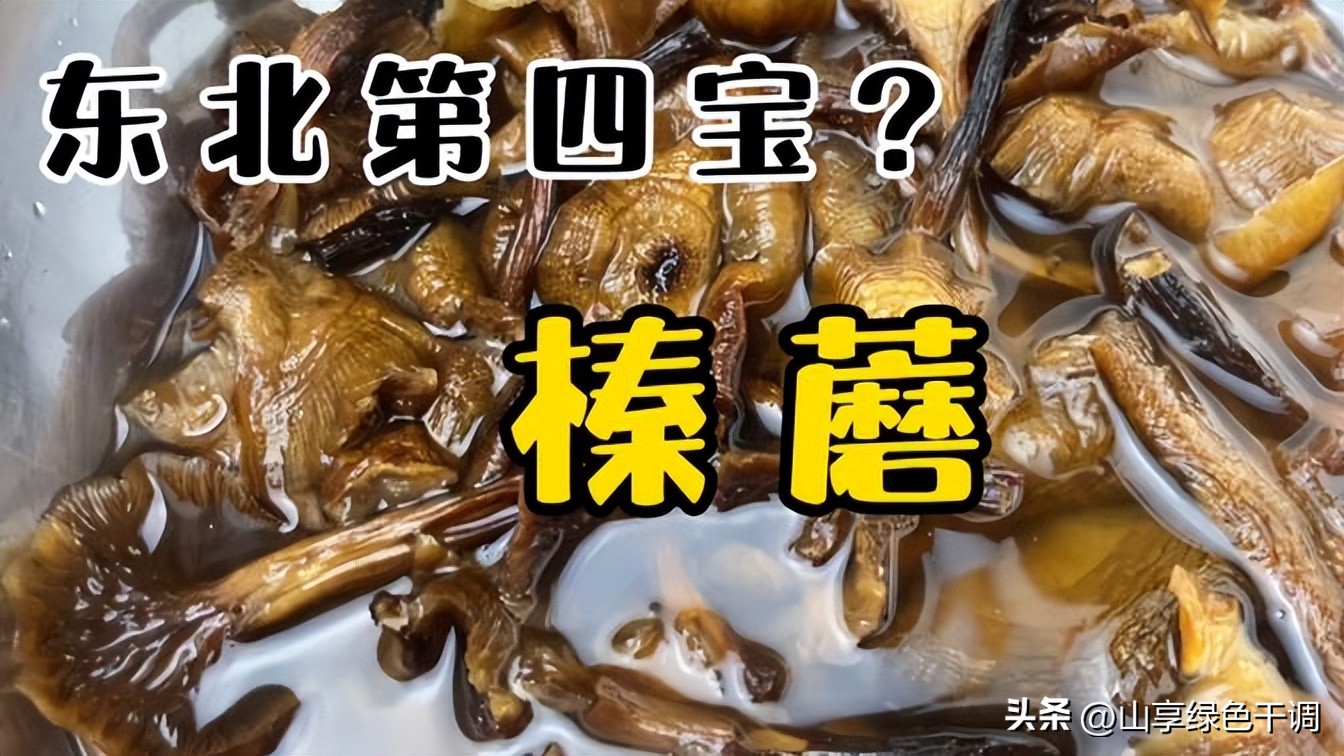 Chicken Mushroom Stew with Hazel Mushroom or Shiitake?Teach you a trick ...
