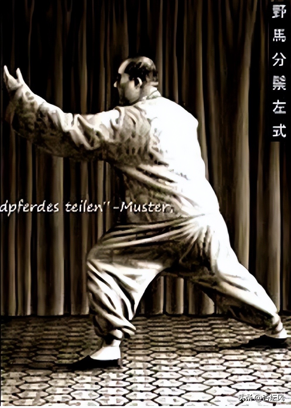 "The Complete Book of Taijiquan Bodywork"--edited by Yang Chengfu ...