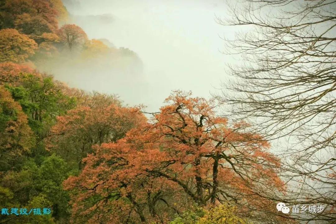 Seven unique autumn steps in the forest - iNEWS