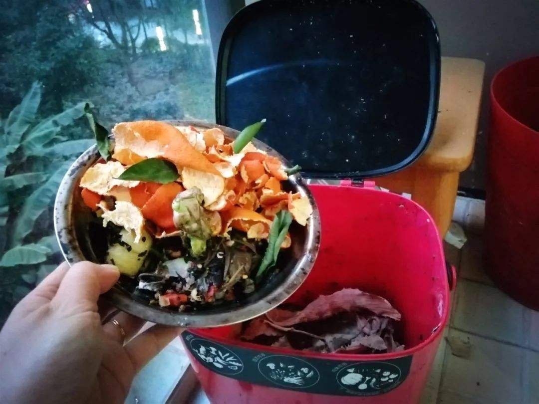 Having seen countless "messy homes", I discovered the "common problems ...