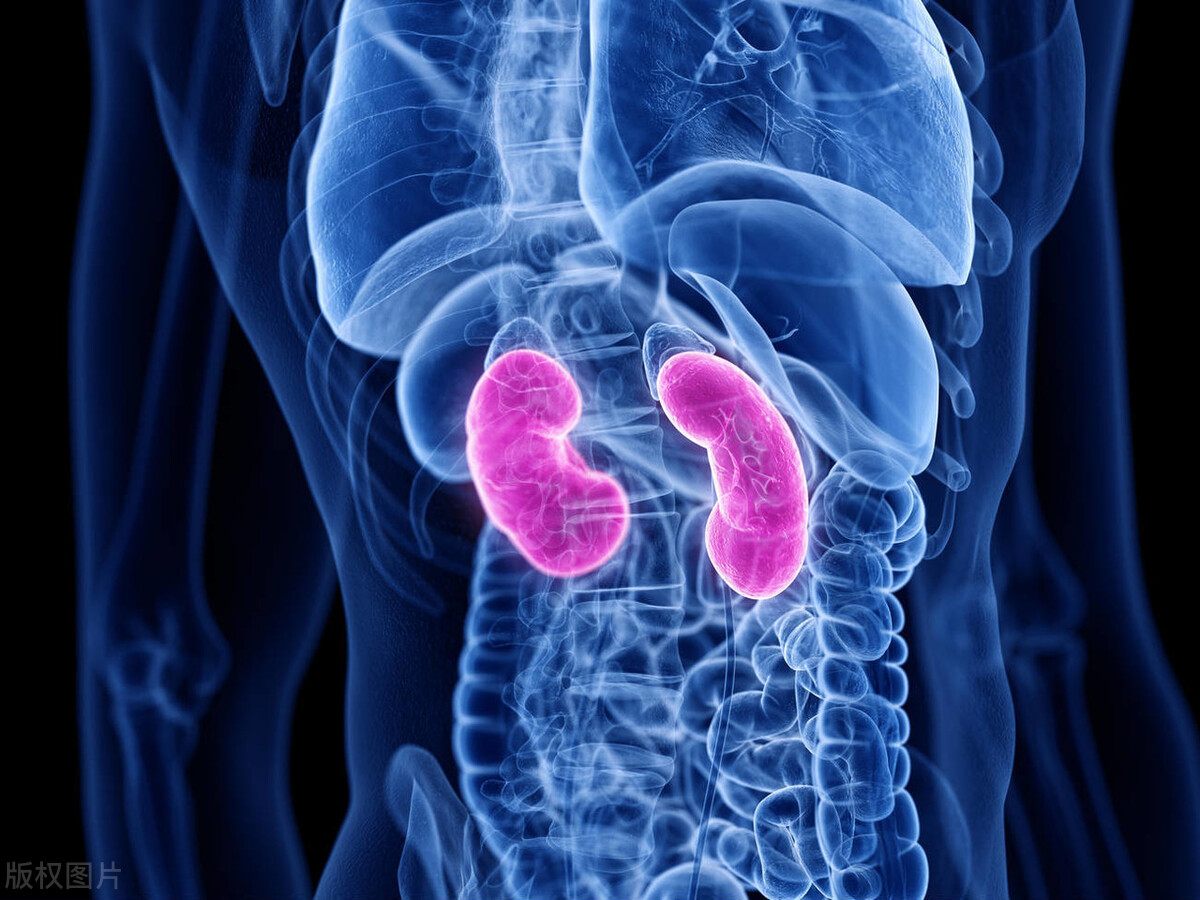 The third stage of kidney disease is the key to preventing kidney ...