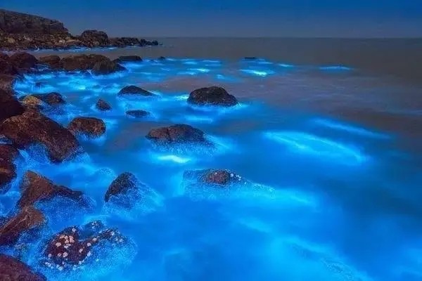 What exactly is the explosive "blue tear"? Shocking scene at the touch ...