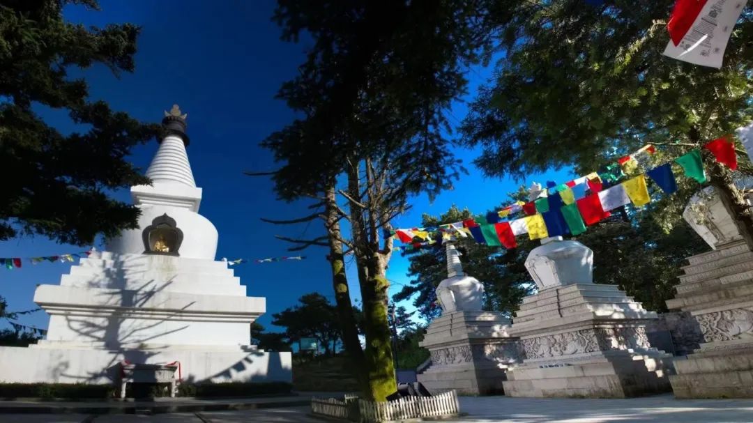 [Xunyang Poetry and Painting] Reminiscing Qing - Above the White Tower ...