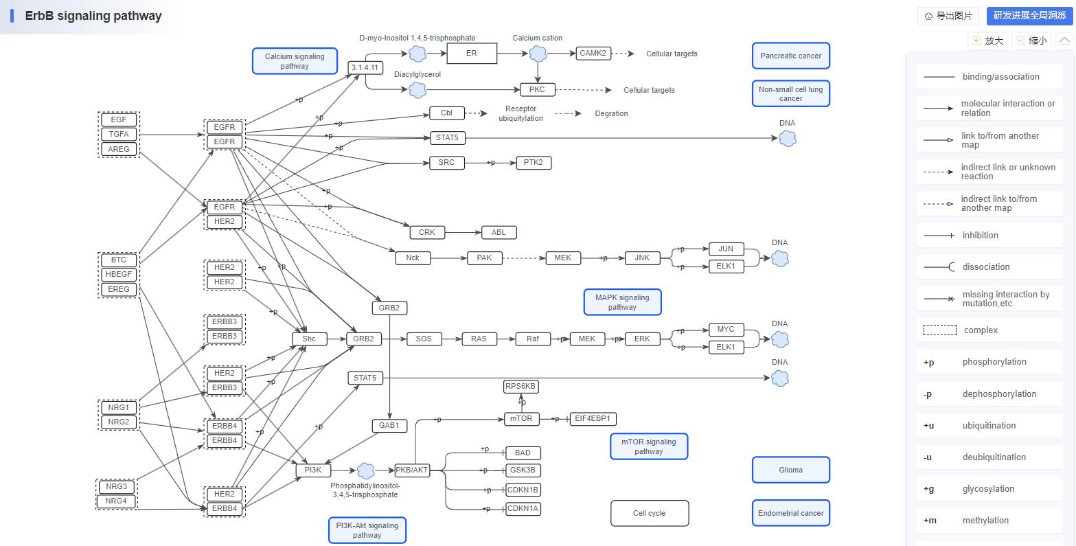 Finally here, this super practical target information pathway database ...