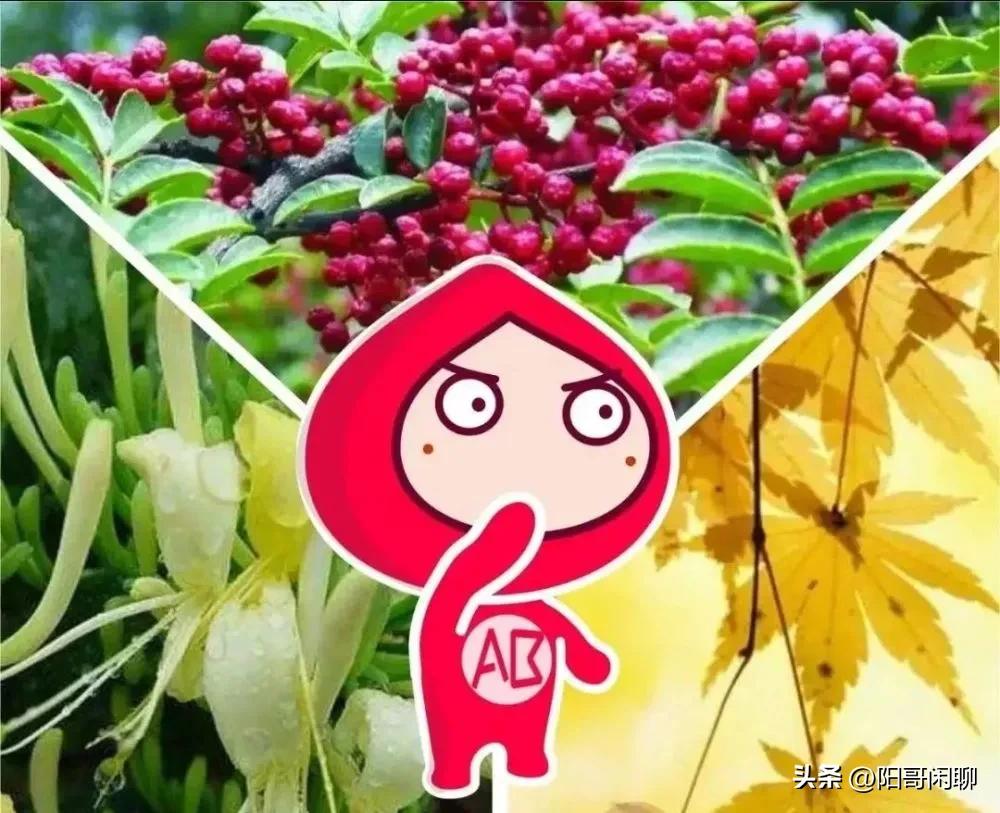 Plants have blood types too - iMedia