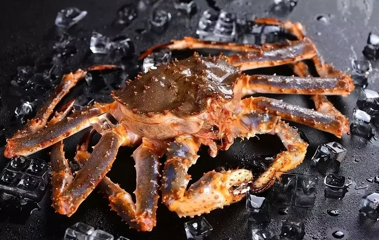 How scary are king crabs?Swept across Europe and invaded Antarctica ...