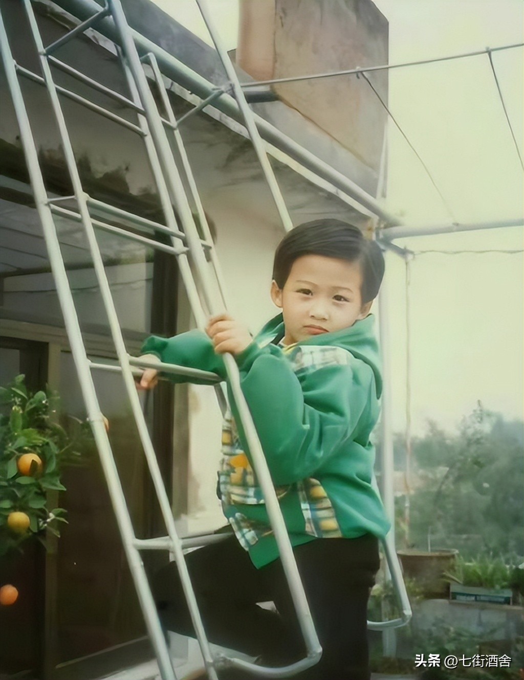 Tan Jianci: After 16 years of debut, he failed to become popular, and ...