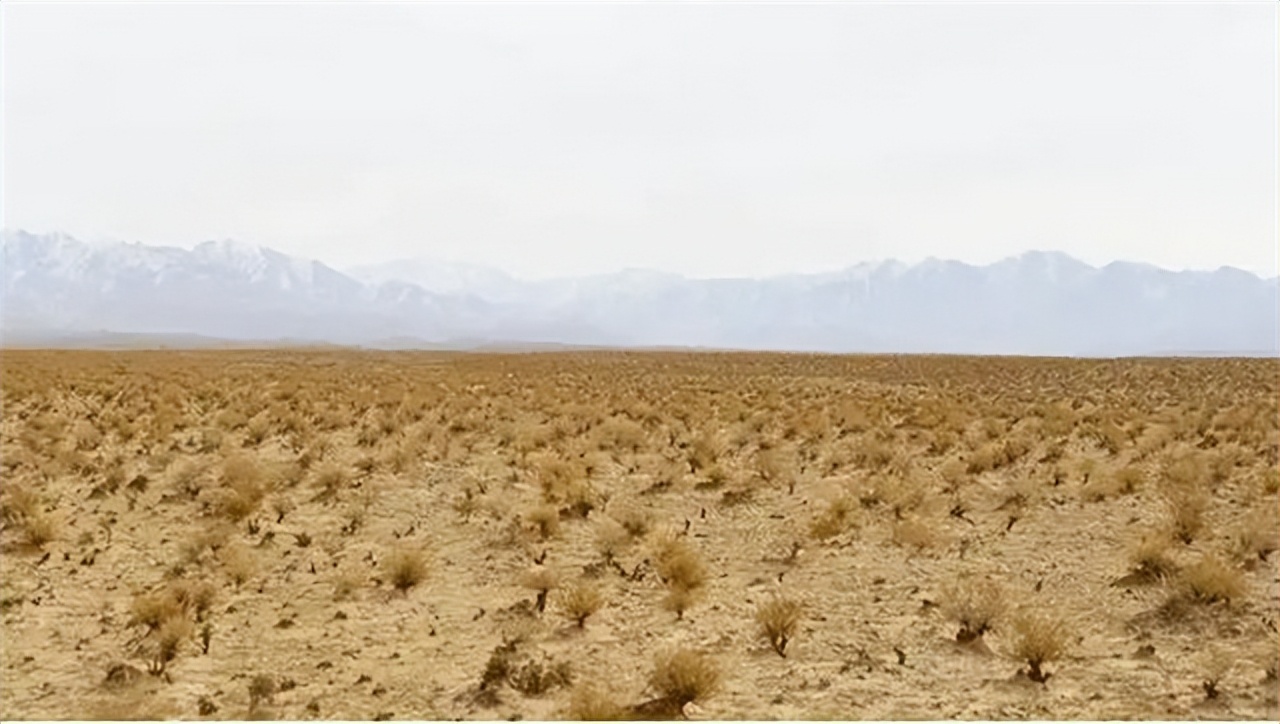 The Mu Us Desert, once barren and barren for hundreds of years, is now ...