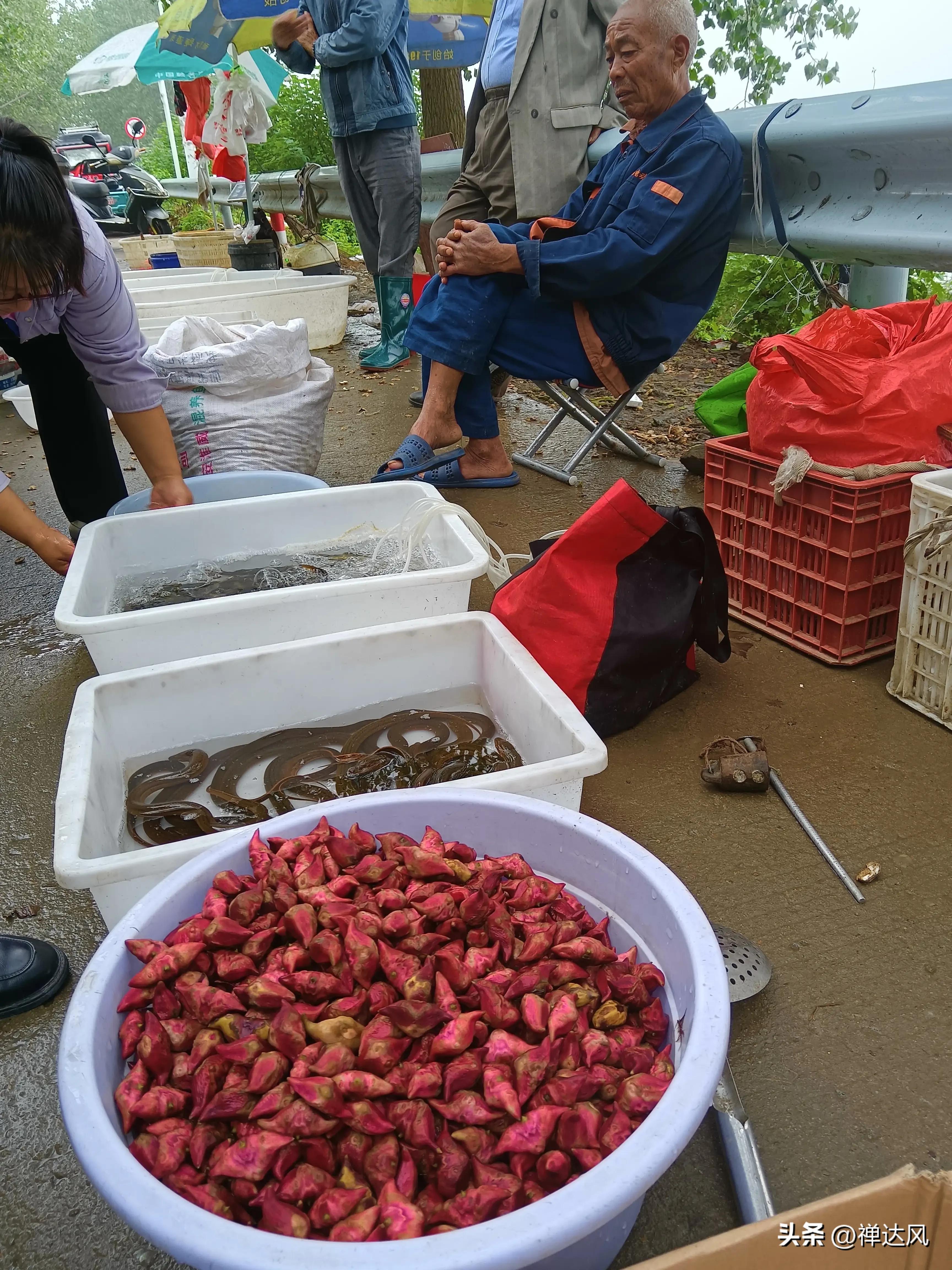 Hongze Lake. The place where Huai River looks back - iNEWS