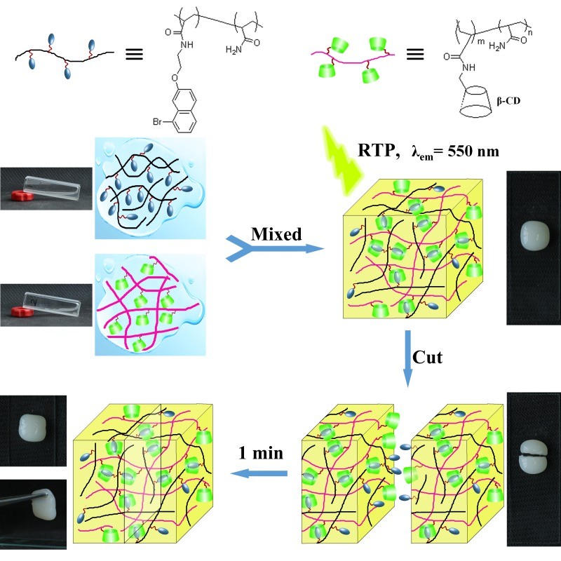 supramolecular polymer brushes - iNEWS