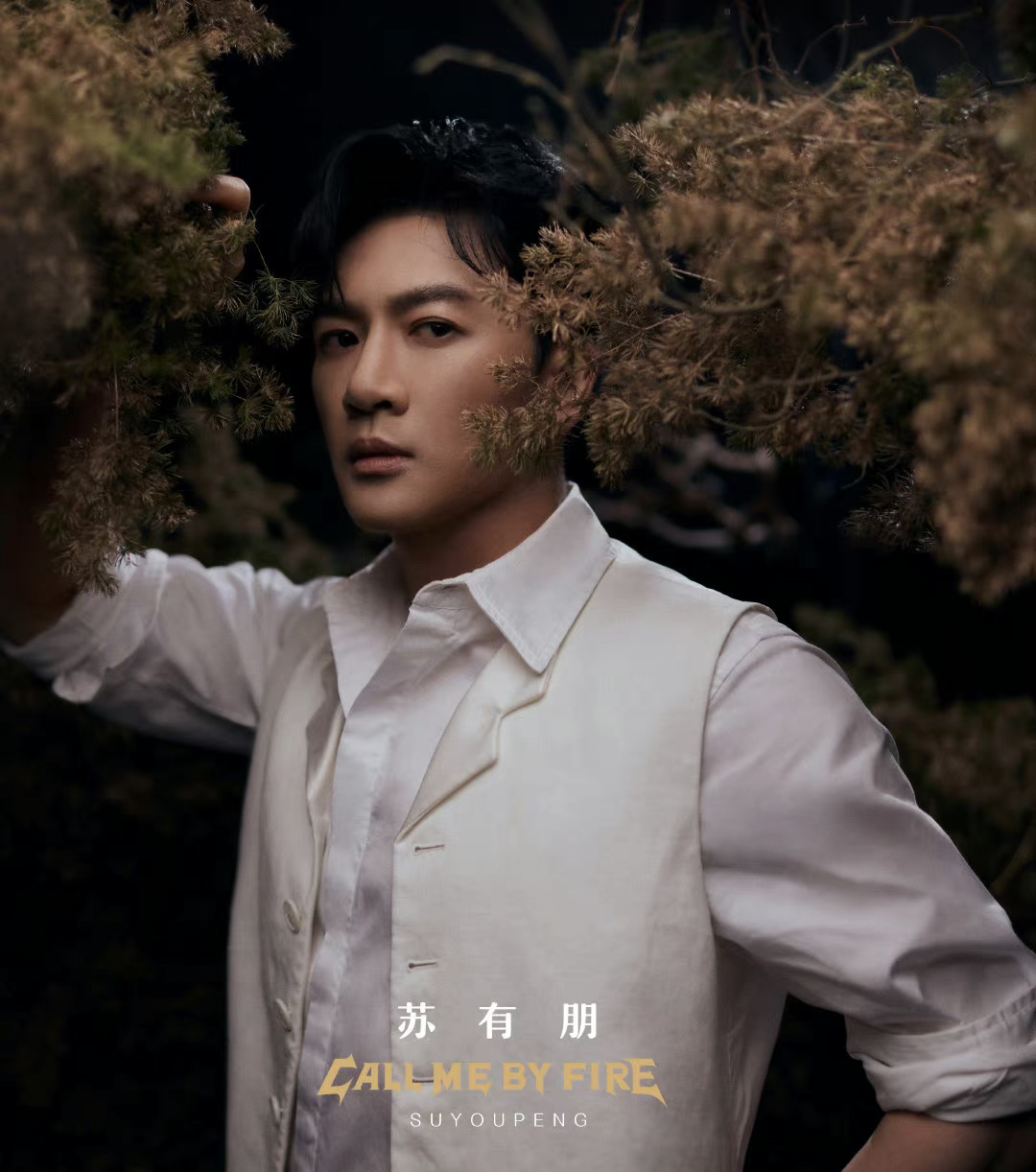 "Ye Qing Hui" Su Youpeng: Singing "Love" caused the audience to cry, Su ...