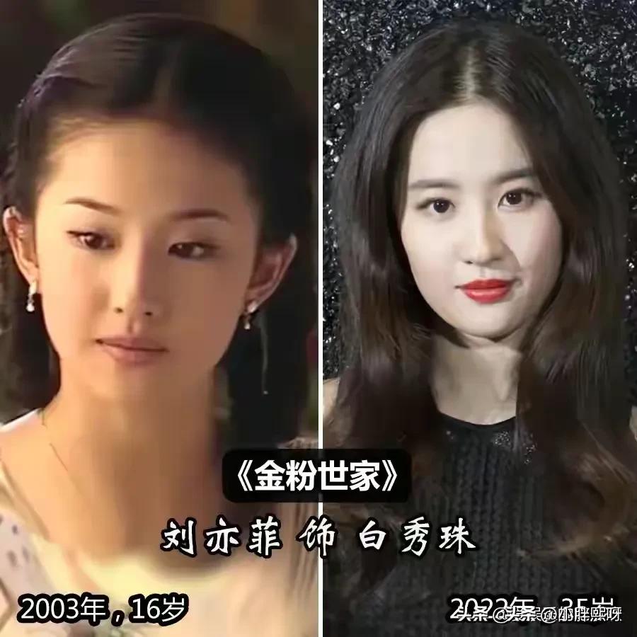 The smash hit "Golden Fen Family", the current situation of the 18 ...