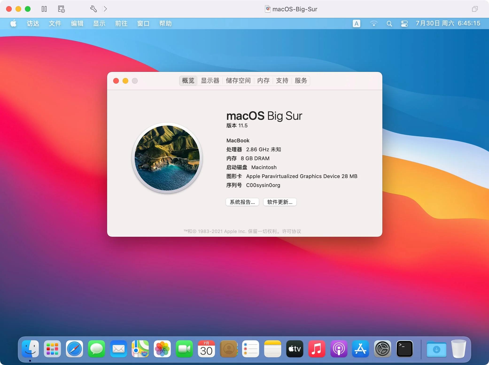 macOS Big Sur 11.7.6 (20G1231) Boot ISO Original Bootable Image - iMedia