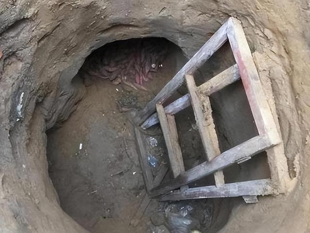 The cellar temperature is so high in winter. Why did the poor people in ...