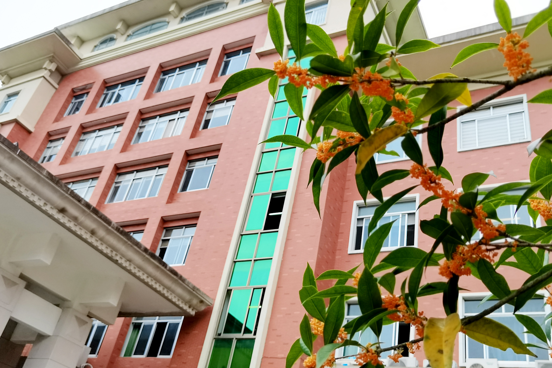 Reading Cheng Pu: Veterans of the Three Generations of Sun and Wu - iNEWS