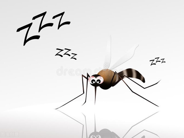 Why do mosquitoes buzz in your ears when you sleep at night? - iNEWS