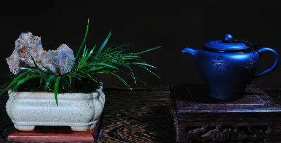 Do you hang a calamus at your door on the Dragon Boat Festival? - iNEWS