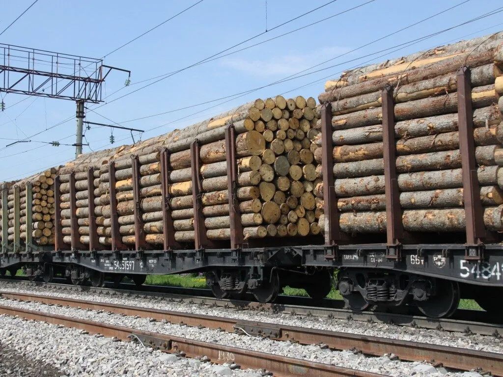 Rising Russian timber exports to China face competition from Belarusian ...