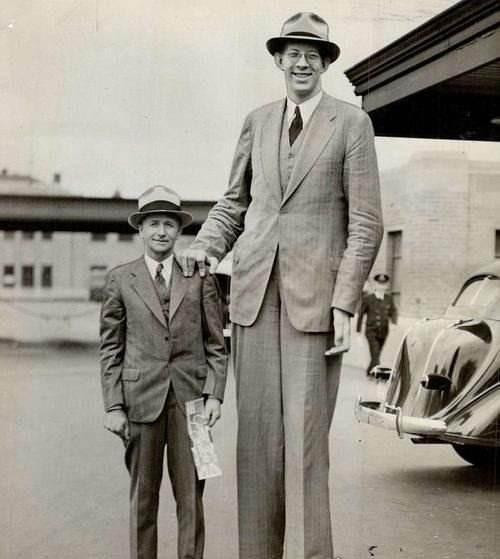 What is the maximum height of a human being?The answer is here - iNEWS