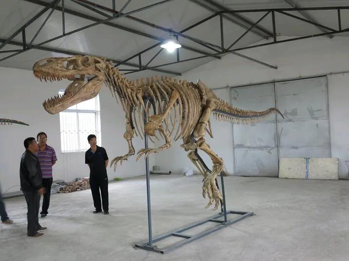 Kazuo Chinese Tyrannosaurus - iNEWS