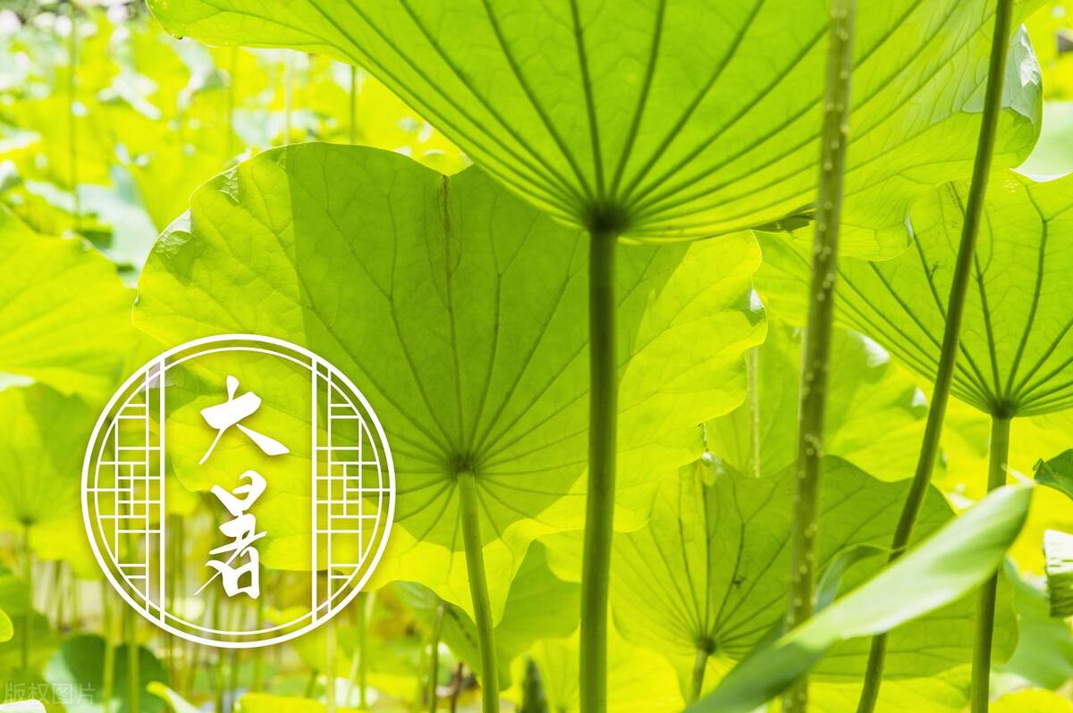 Some knowledge about the Great Heat - iNEWS