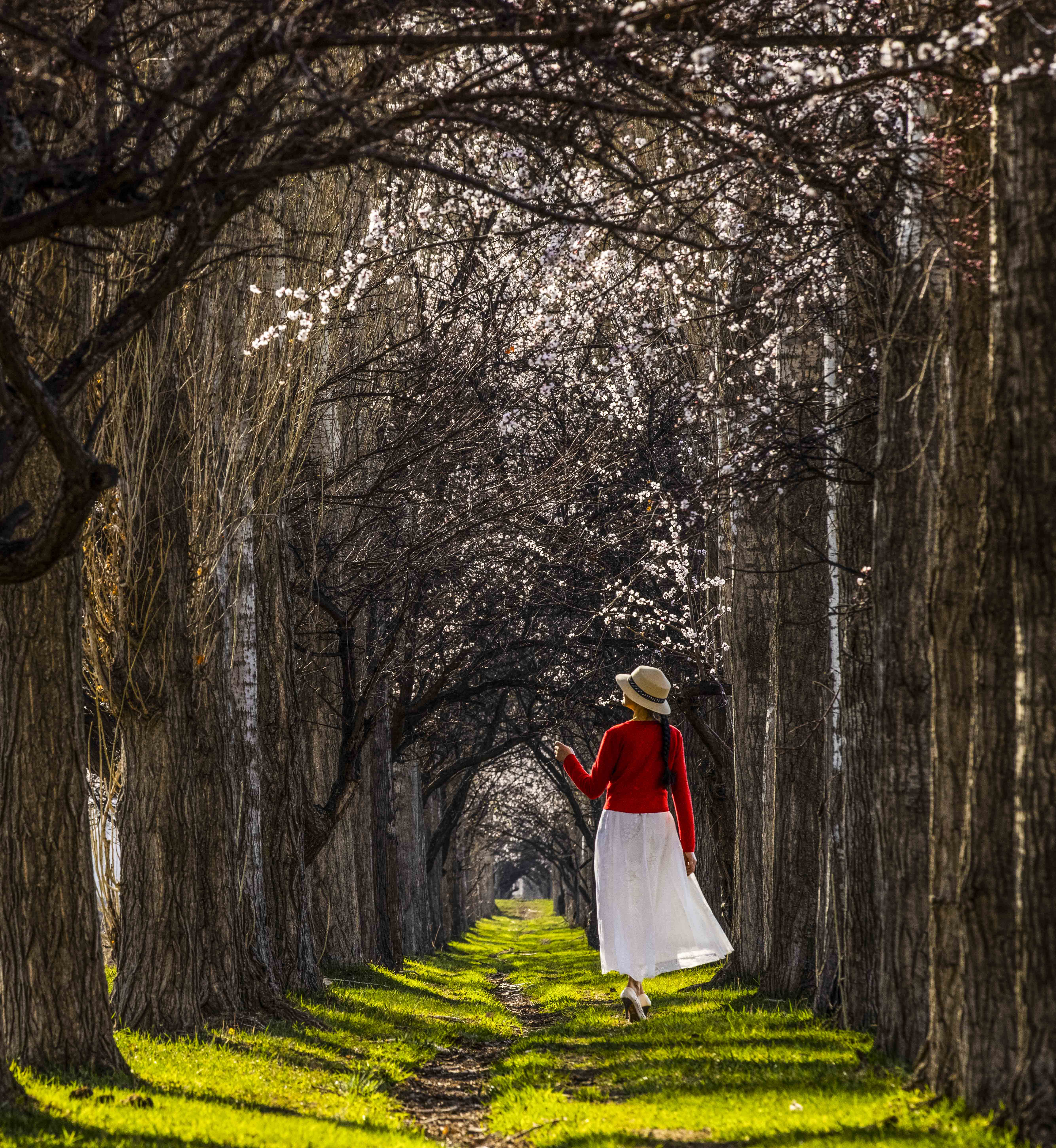 The pursuit of landscape photography: the realm of the unity of people ...