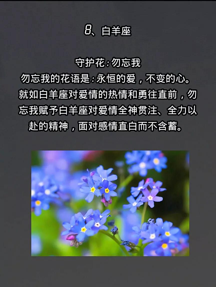 What is the guardian flower of the twelve constellations? - iNEWS