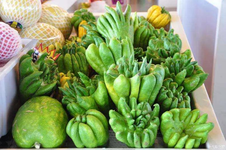 Vegetables and fruits under nuclear radiation in Japan - iNEWS