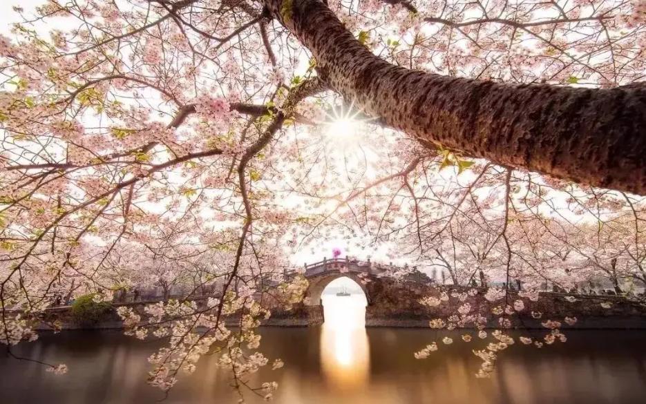 [Poetry Appreciation] The most beautiful April day in the world, ten ...