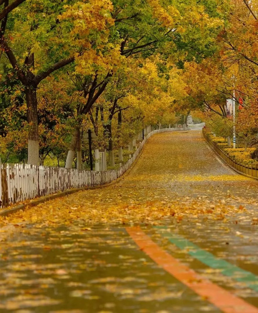 There were also babies who painted in the Tang Dynasty - iNEWS