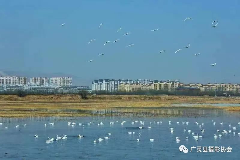 Guang Ling: The Station of the Swan - iNEWS