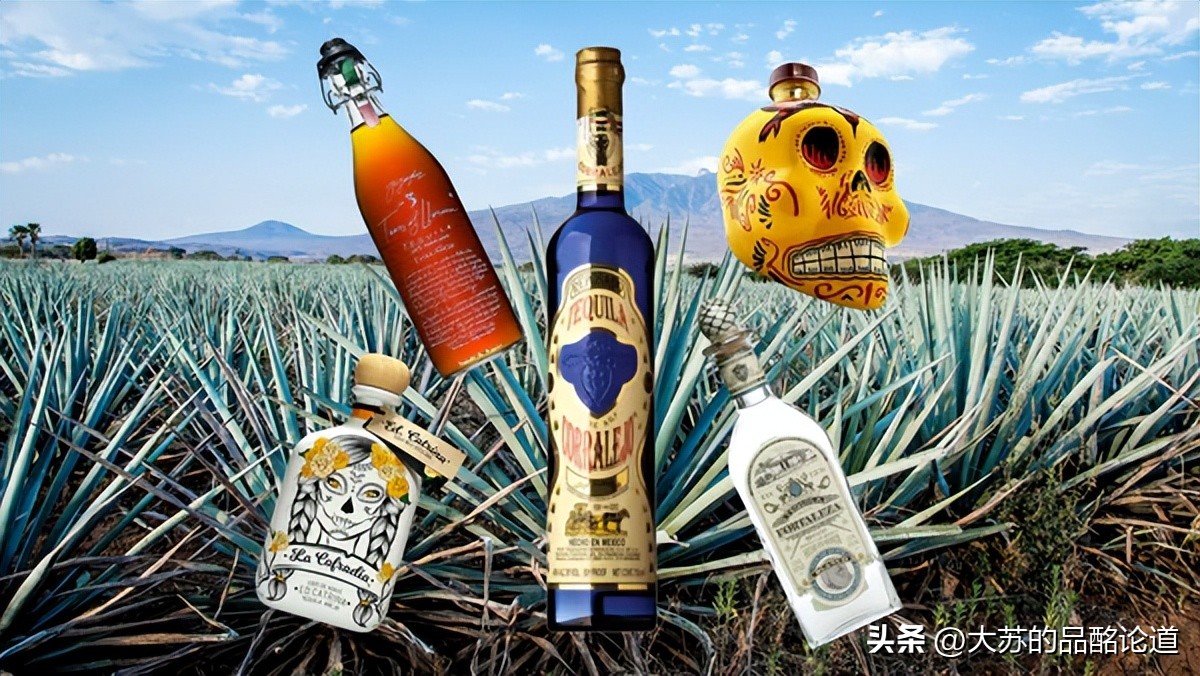 Introduction to Tequila (2): Mixed Tequila, 100% Tequila Tequila, this ...