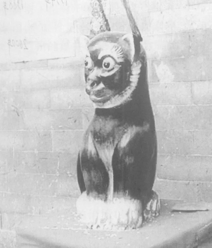 From "Auspicious" to "Cat Ghost": The Eyes That See Death—Demon Cat - iNEWS