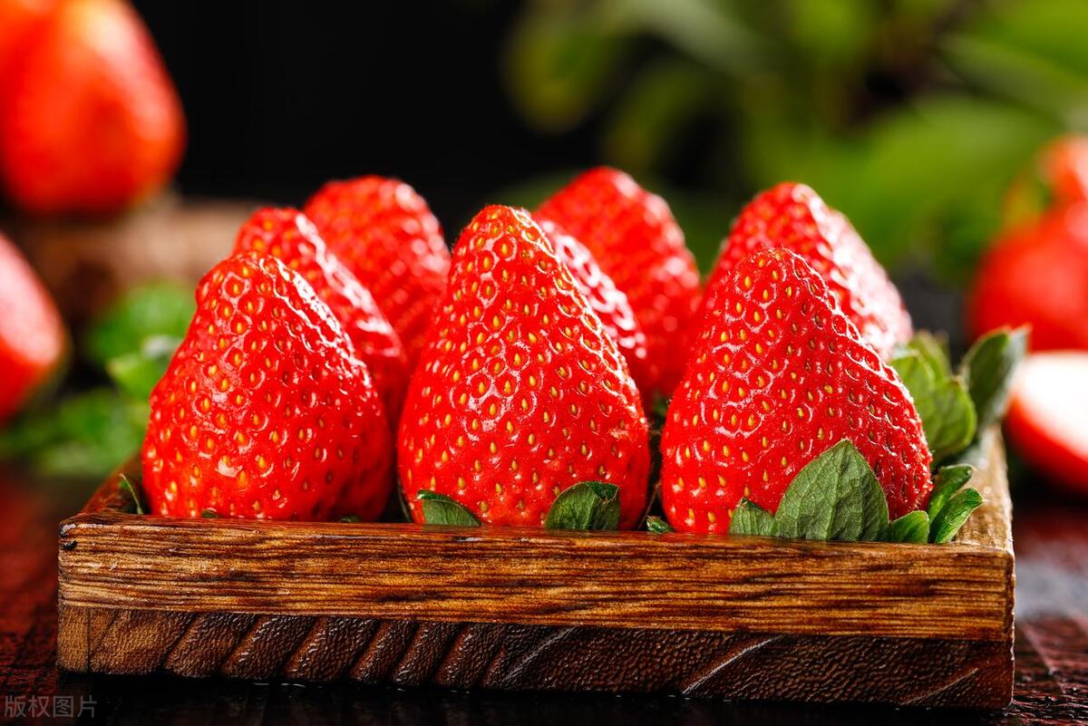 A creature with 20 arms has been discovered. Do you recognize this ...